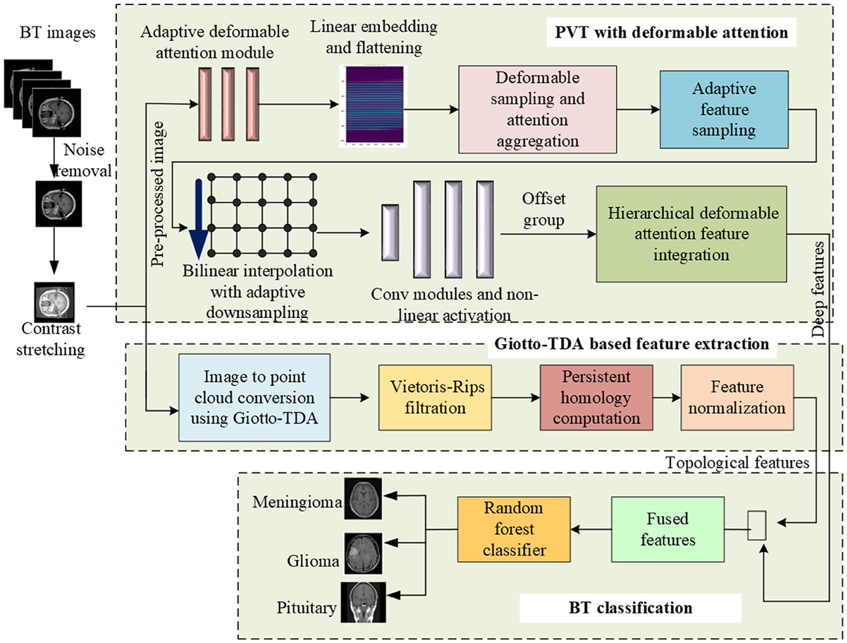 Frontiers | Integrating pyramid vision transformer and topological data analysis for brain tumor