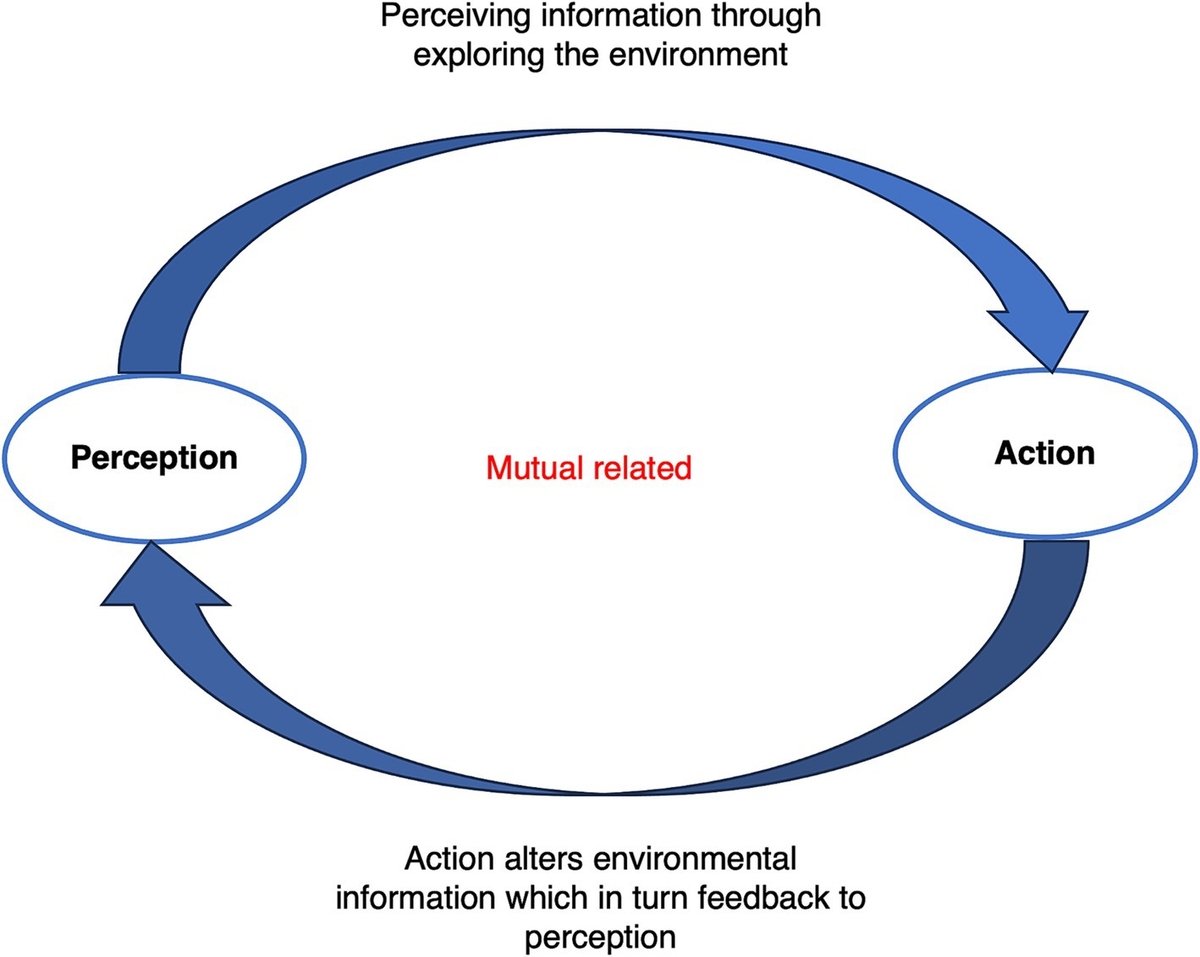 Frontiers | An eco-psychological framework for research on the physical ...