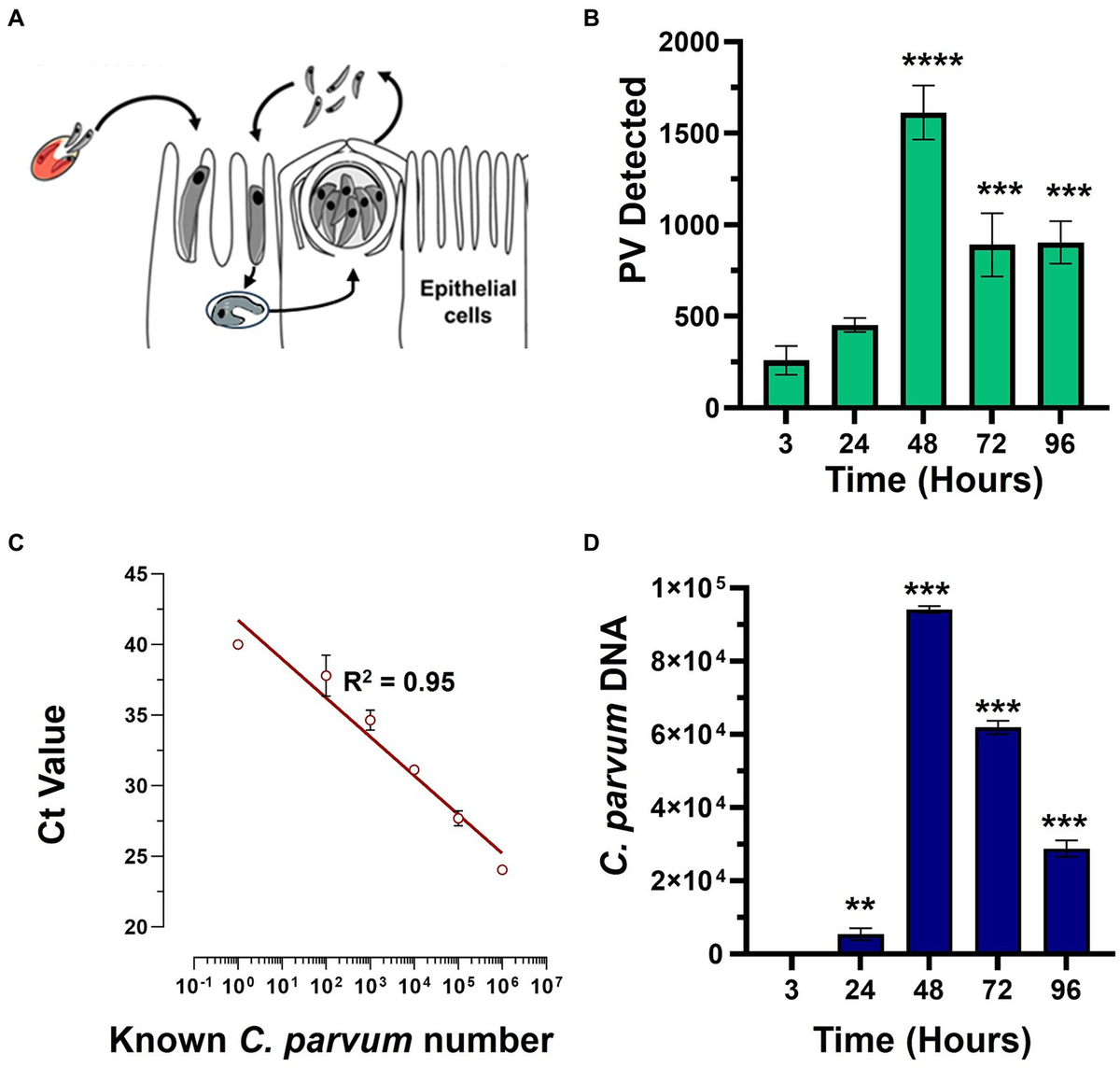 Frontiers | Comparative efficacy and safety of anti-cryptosporidial ...