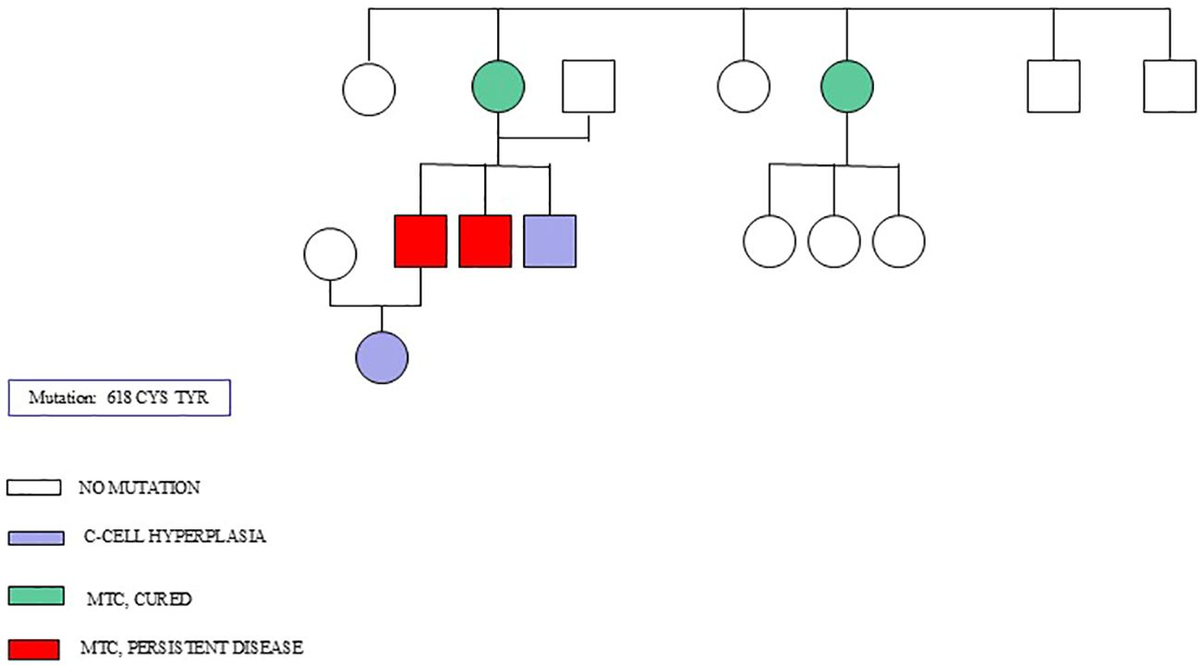 Frontiers | Medullary thyroid cancer in MEN2 pediatric/adolescent ...