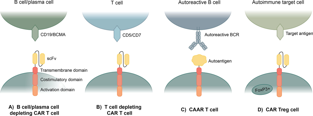 Frontiers | Application of novel CAR technologies to improve treatment ...