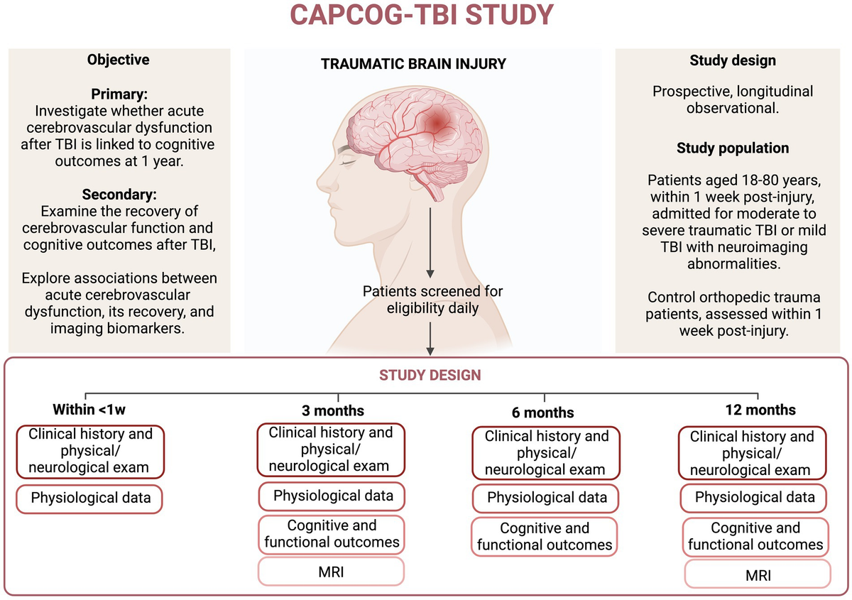 Frontiers | Study protocol: Cerebral autoregulation, brain perfusion ...