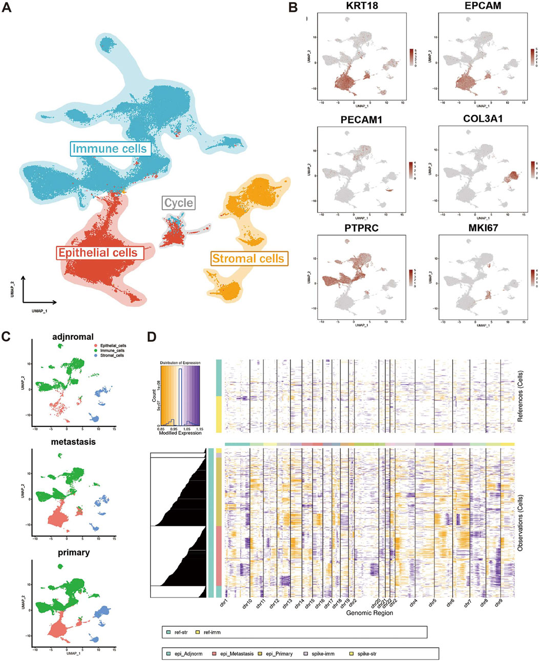 Frontiers | Single-cell transcriptome analysis identifies a novel tumor-associated macrophage ...