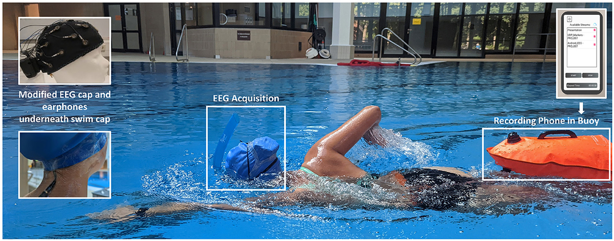 Frontiers | Mobile EEG for the study of cognitive-motor interference ...