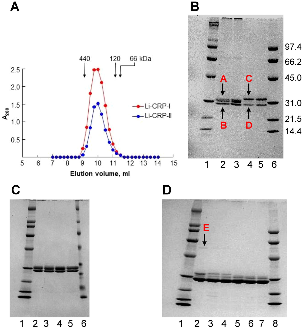 Frontiers | An evolutionarily conserved function of C-reactive protein ...