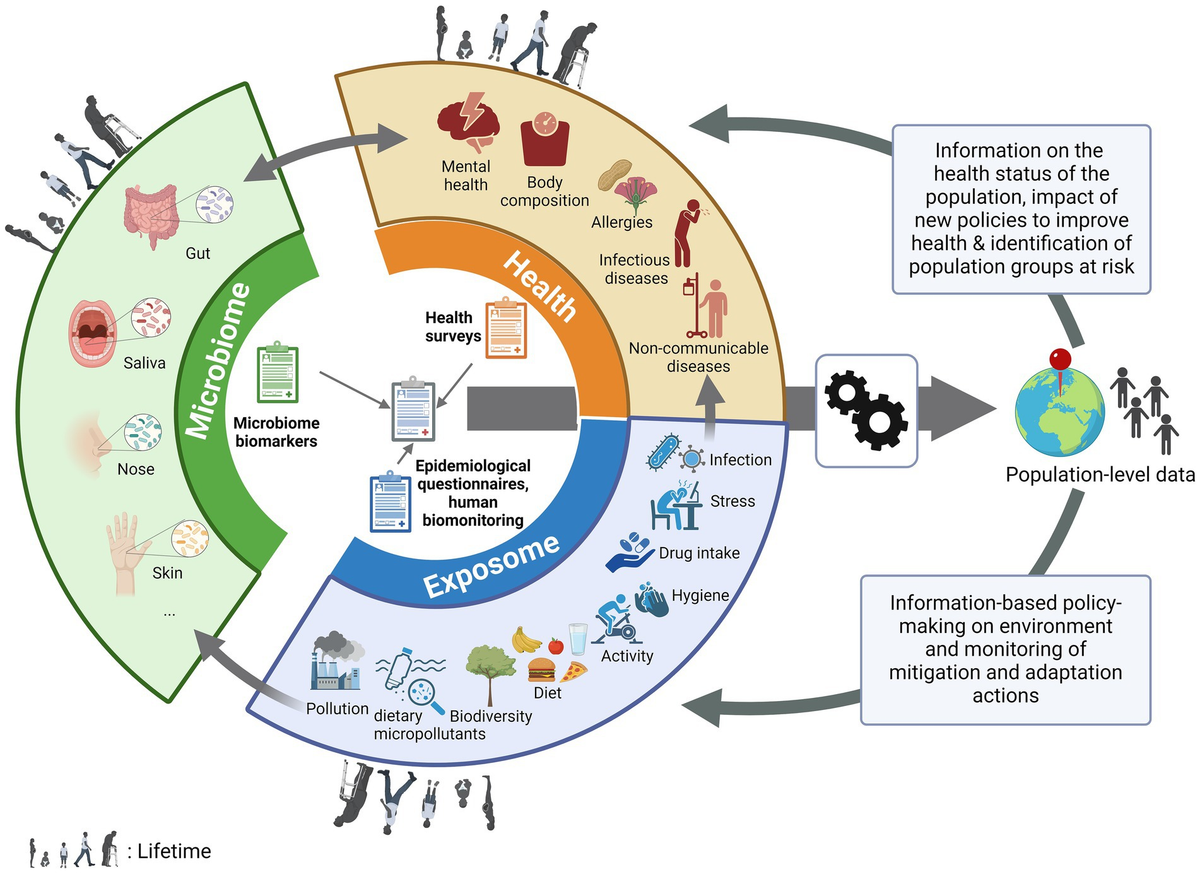 Frontiers | The potential of including the microbiome as biomarker in ...