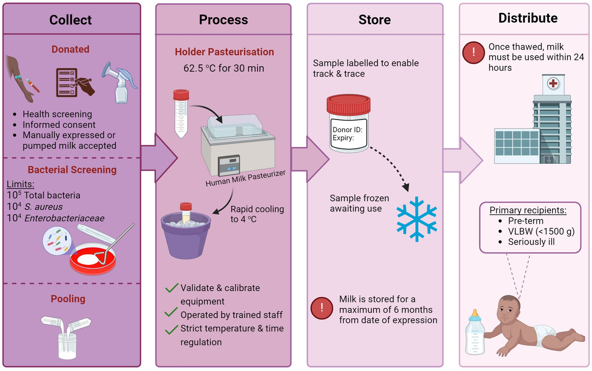 Frontiers | Donor human milk: the influence of processing technologies ...