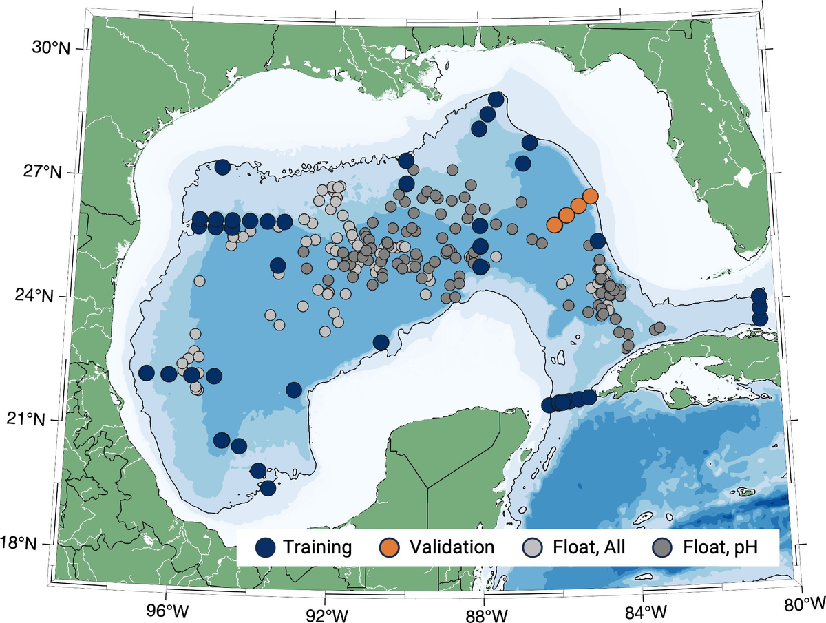 Frontiers | A neural network algorithm for quantifying seawater pH ...