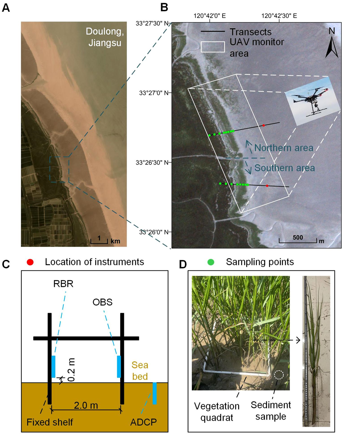 Frontiers | Seasonal biophysical interactions in tidal marsh evolution: insights from a ...