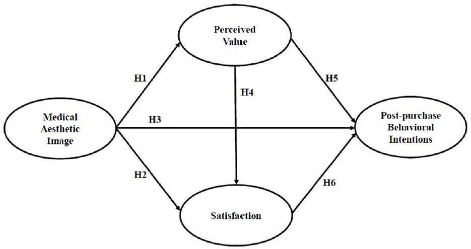 Frontiers | Post-purchase behavioral intention in medical aesthetic ...