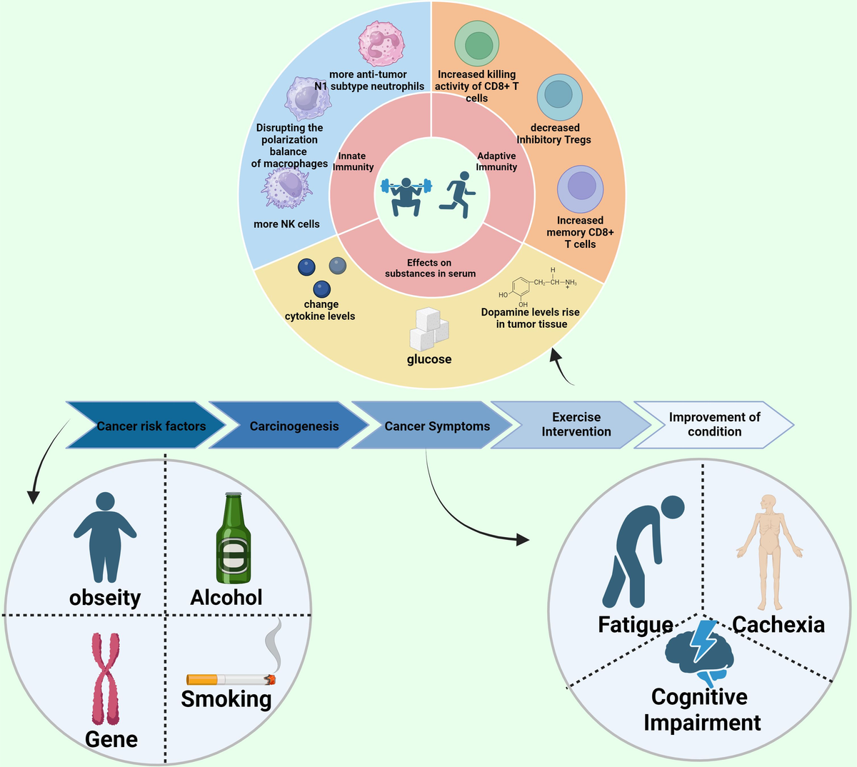 Frontiers | Impact of exercise on cancer: mechanistic perspectives and ...