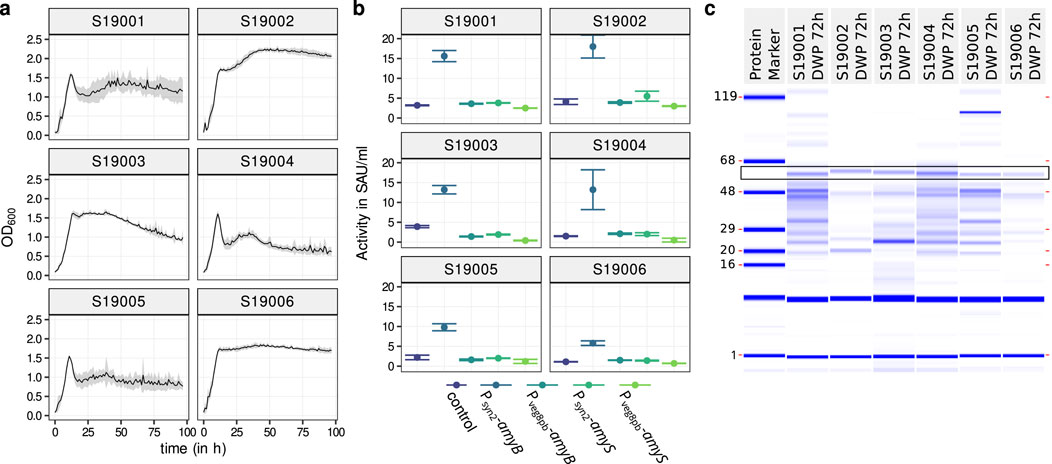 Frontiers | Automation-aided construction and characterization of ...