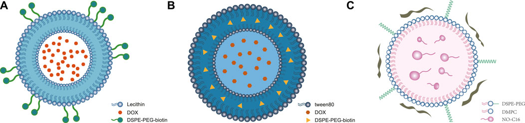 Frontiers | Self-assembled lipid-based nanoparticles for chemotherapy ...