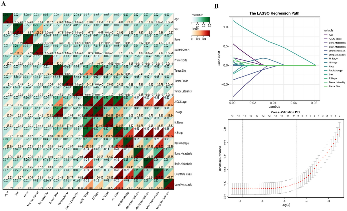Frontiers | Machine learning insights into early mortality risks for ...