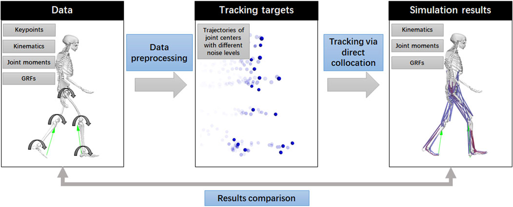Frontiers | Robust kinetics estimation from kinematics via direct collocation