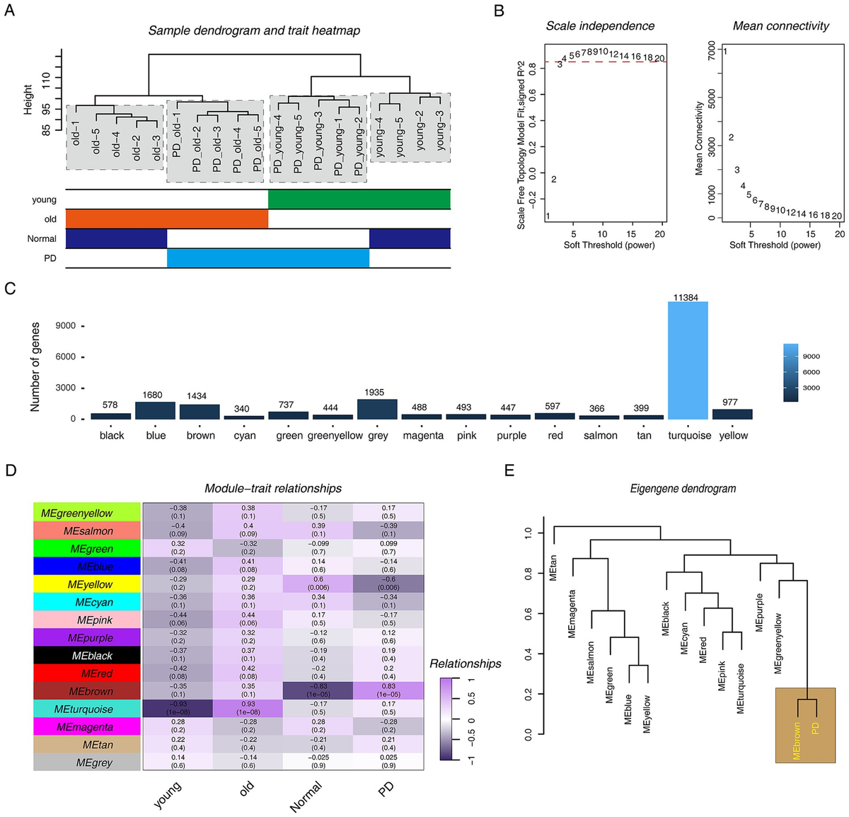 Frontiers | Identification of biomarkers in Parkinson’s disease by ...