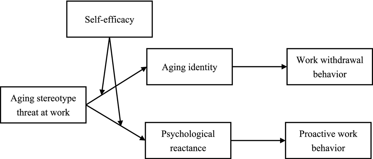 Frontiers | Dual pathways of aging stereotype threat at work: impacts ...