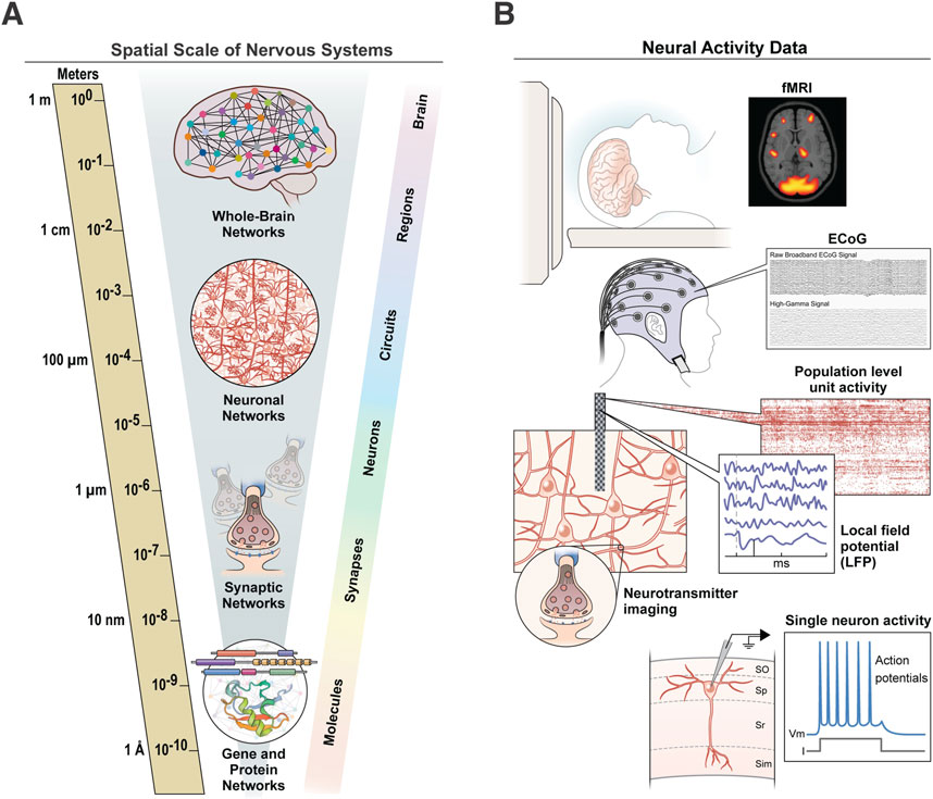 Frontiers | Bridging complexity through integrative systems neuroscience