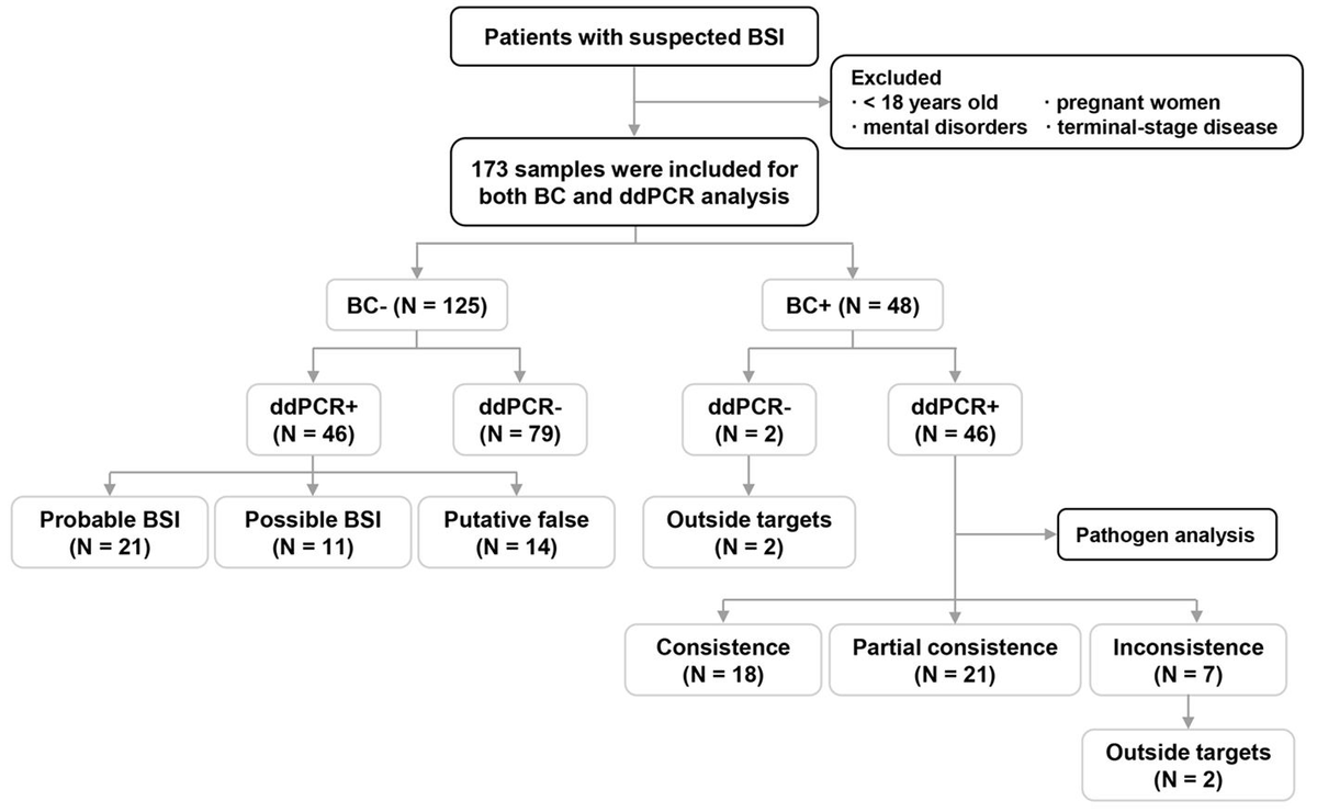 Frontiers | Clinical evaluation of a multiplex droplet digital PCR for diagnosing suspected ...