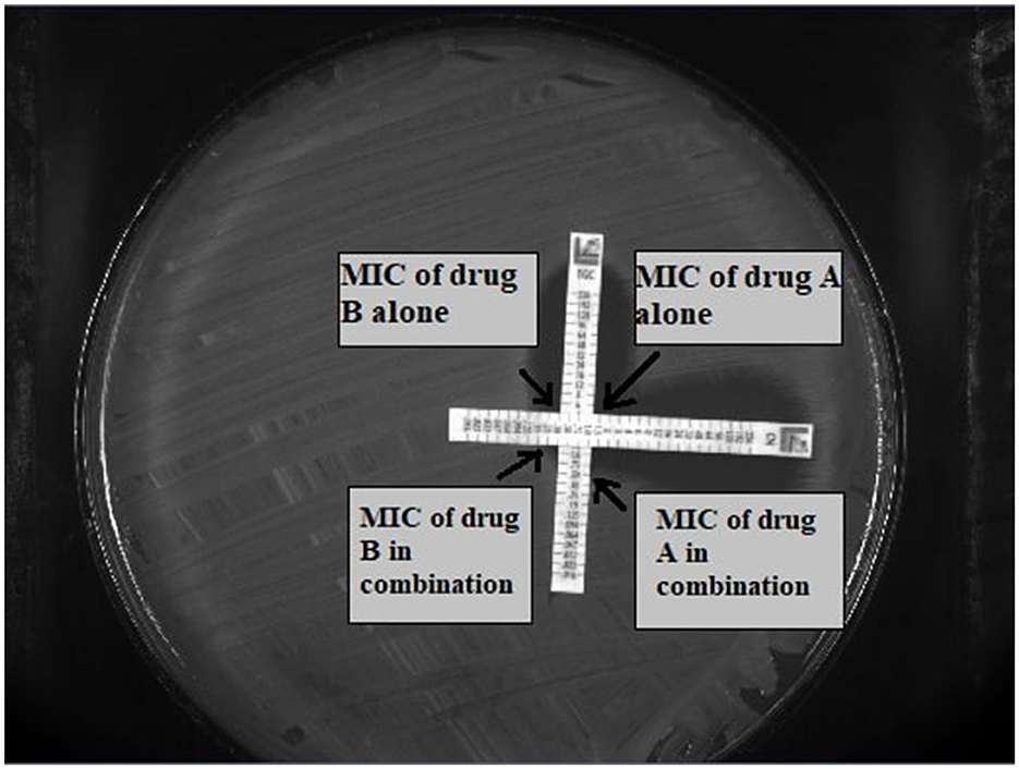 Frontiers | In vitro evaluation of tigecycline synergy testing with ...