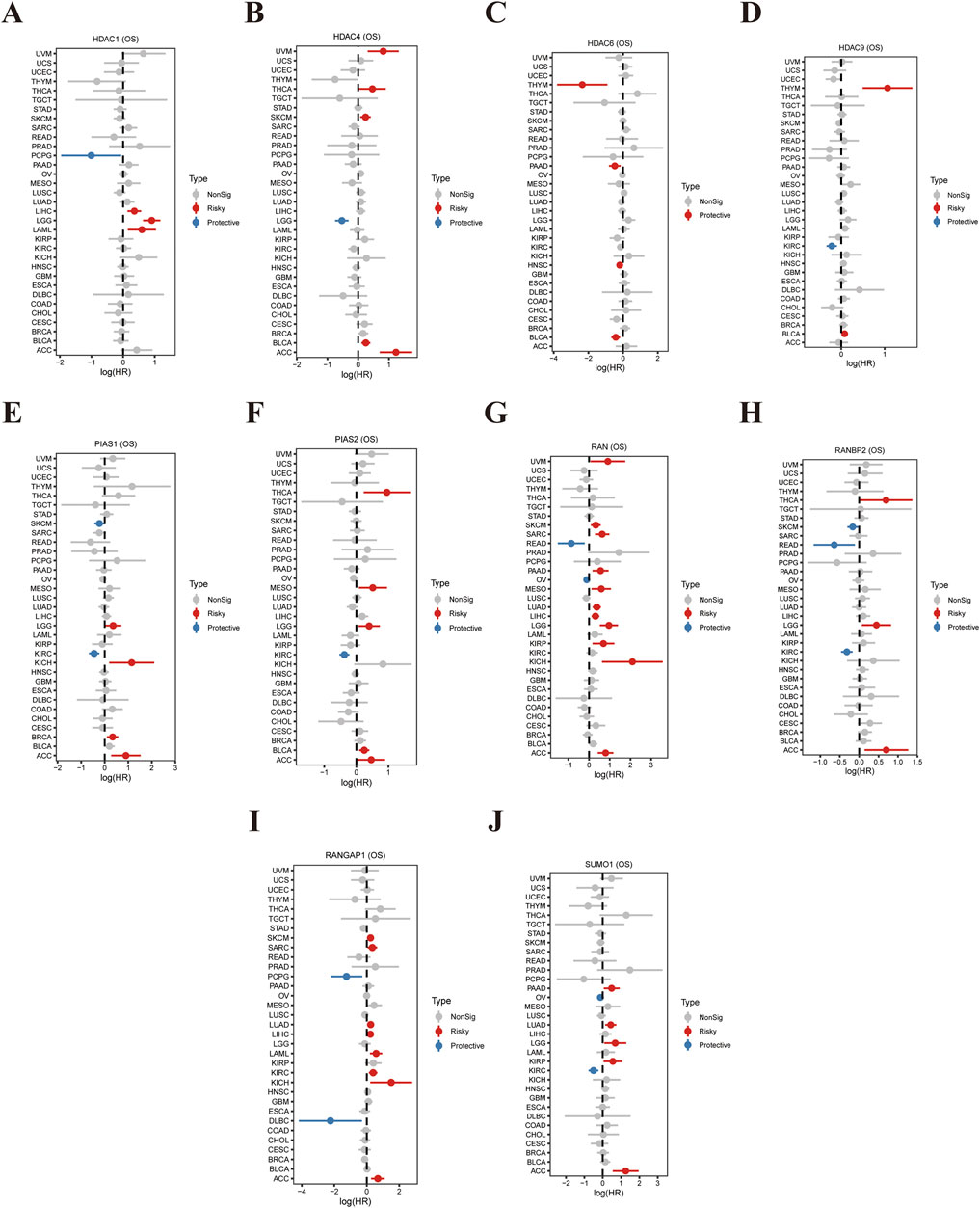 Frontiers | Paromomycin targets HDAC1-mediated SUMOylation and IGF1R ...