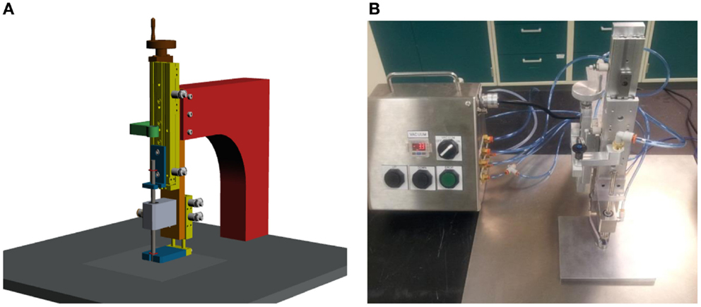 Frontiers | Methods for Measurement and Statistical Analysis of the ...