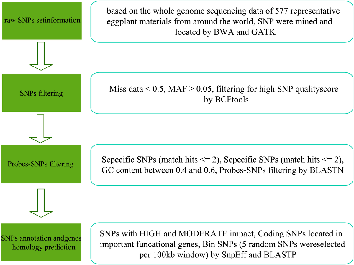 Frontiers | Development of a 50K SNP array for whole-genome analysis ...