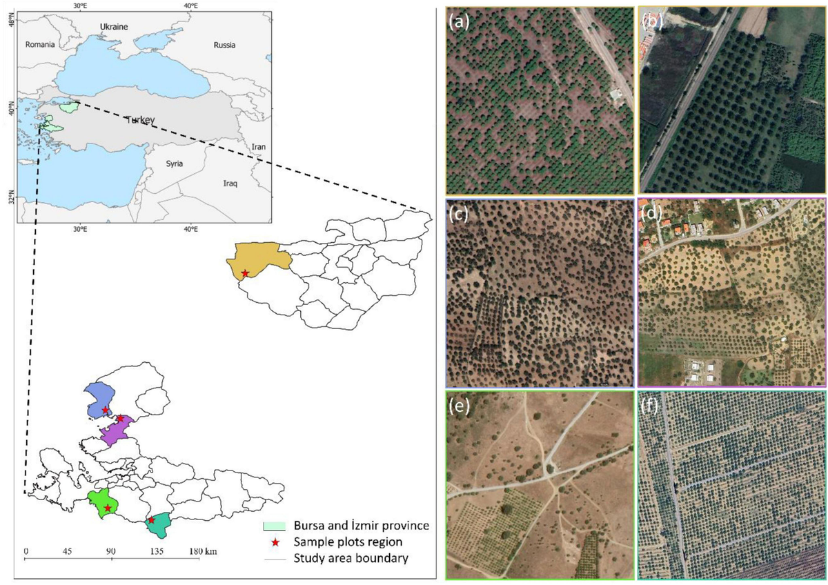 Frontiers | VHRTrees: a new benchmark dataset for tree detection in ...