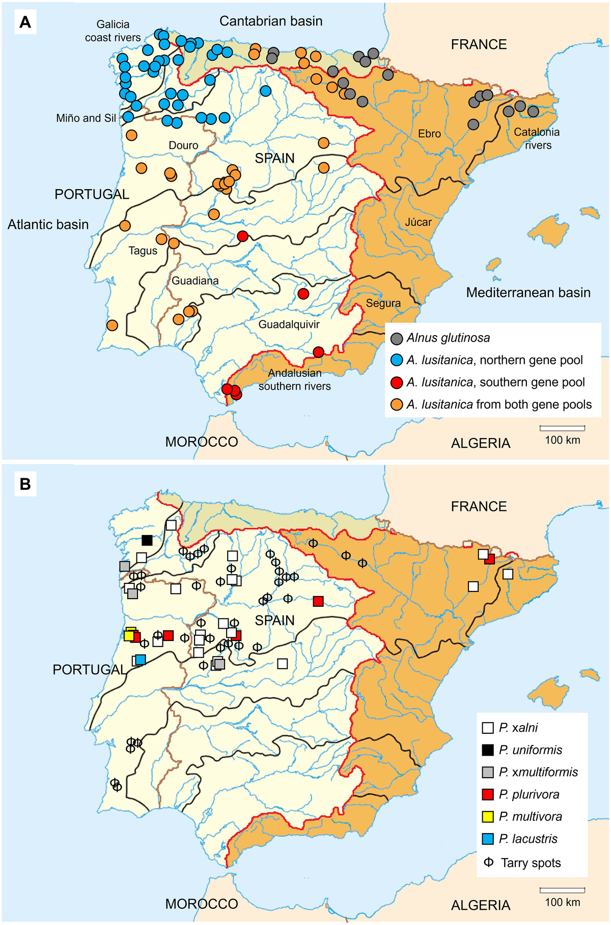 Frontiers | Breeding Alnus species for resistance to Phytophthora ...