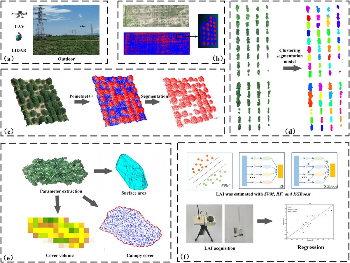 Frontiers | Accurate LAI estimation of soybean plants in the field using deep learning and ...