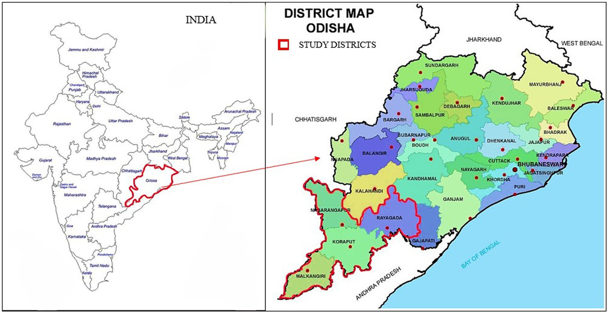 Frontiers | Malaria and missed school days: exploring school ...