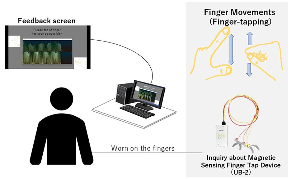 Frontiers | Construction and evaluation of a finger motor feedback ...