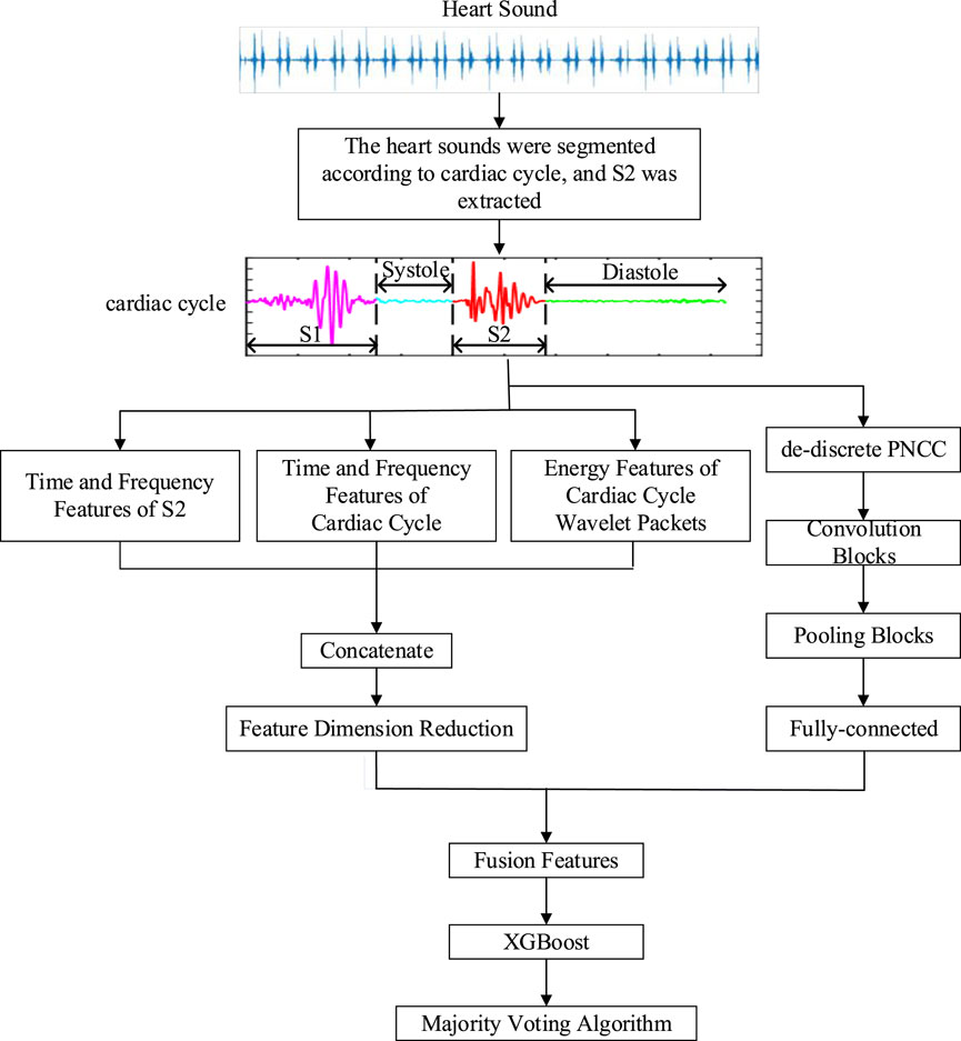 Frontiers | Non-invasive ML methods for diagnosis of congenital heart ...