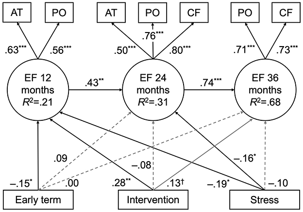 Frontiers | How do psychosocial stress of the family, early-term birth and early childhood ...