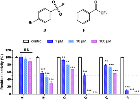 Frontiers | The study of halogen effect on the reactivity of the serine ...
