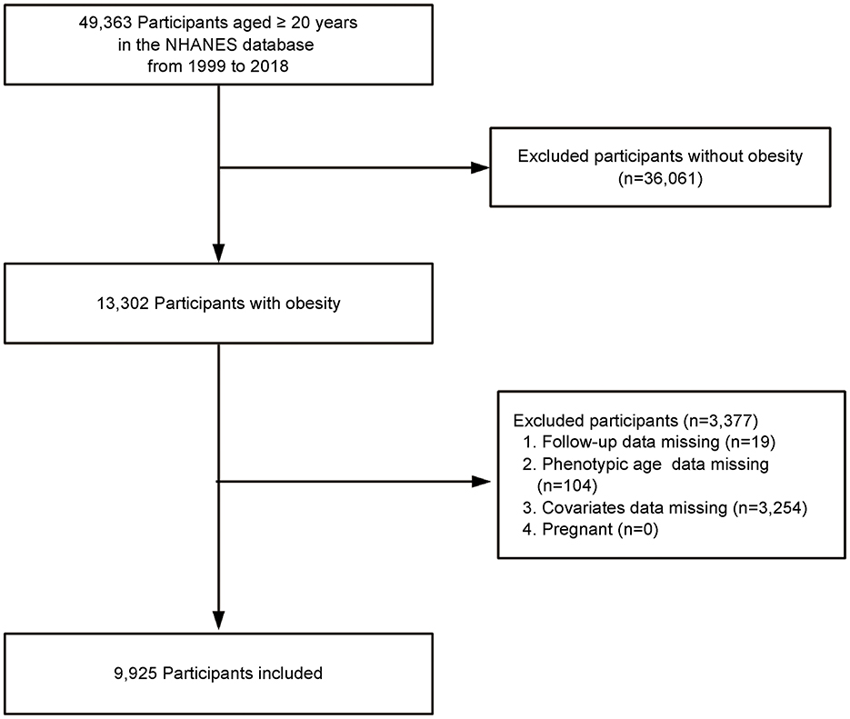 Frontiers | Association between phenotypic age and mortality risk in ...
