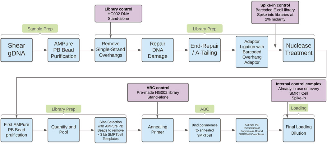 Frontiers | Evaluation of controls, quality control assays, and ...