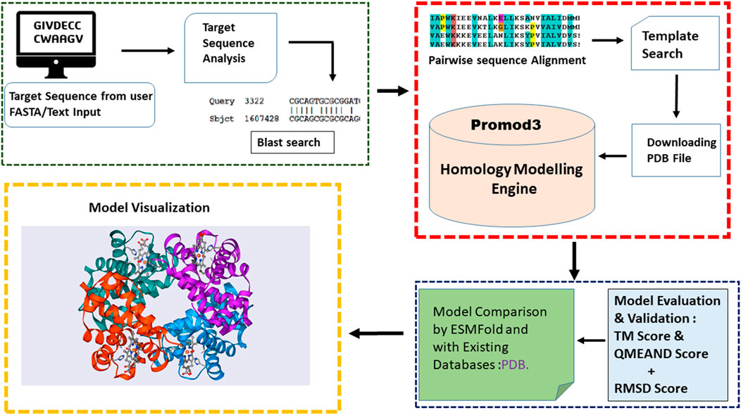 Frontiers | Prostruc: an open-source tool for 3D structure prediction ...