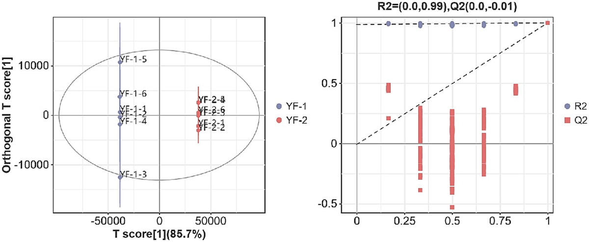 Frontiers | Metabolomic profiling of rectal microorganisms in Tibetan ...