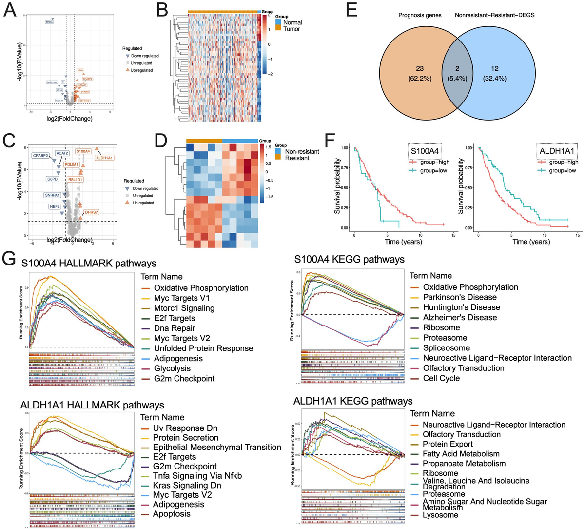 Frontiers | Integration of scRNA-seq and bulk RNA-seq to reveal the ...