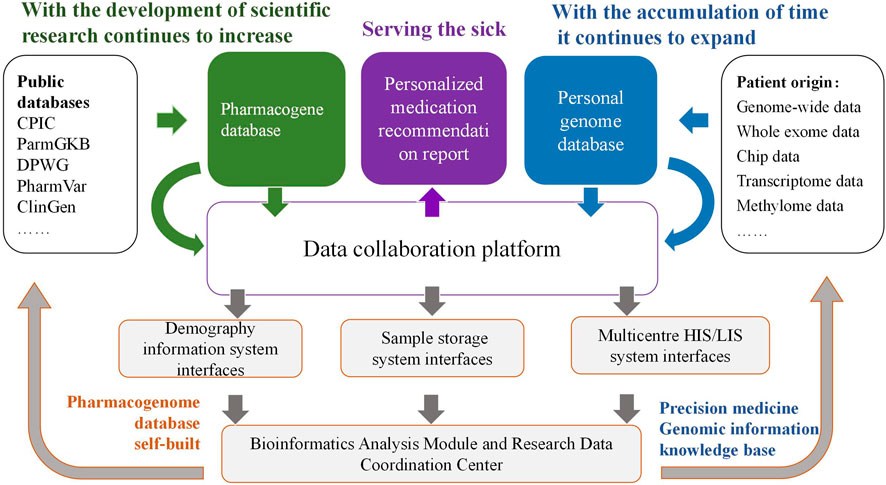 Frontiers | Discussion on the optimization of personalized medication ...
