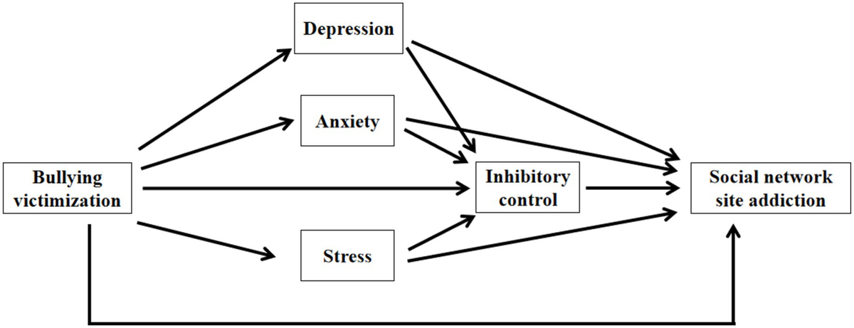 Frontiers | The central mediating effect of inhibitory control and ...