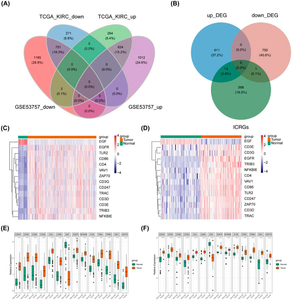 Frontiers | Development and validation of prognostic and diagnostic models utilizing immune ...