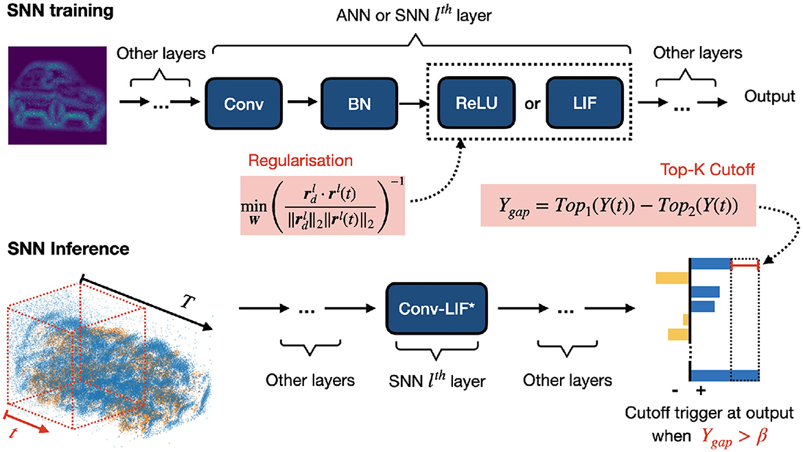 Frontiers | Optimizing event-driven spiking neural network with regularization and cutoff