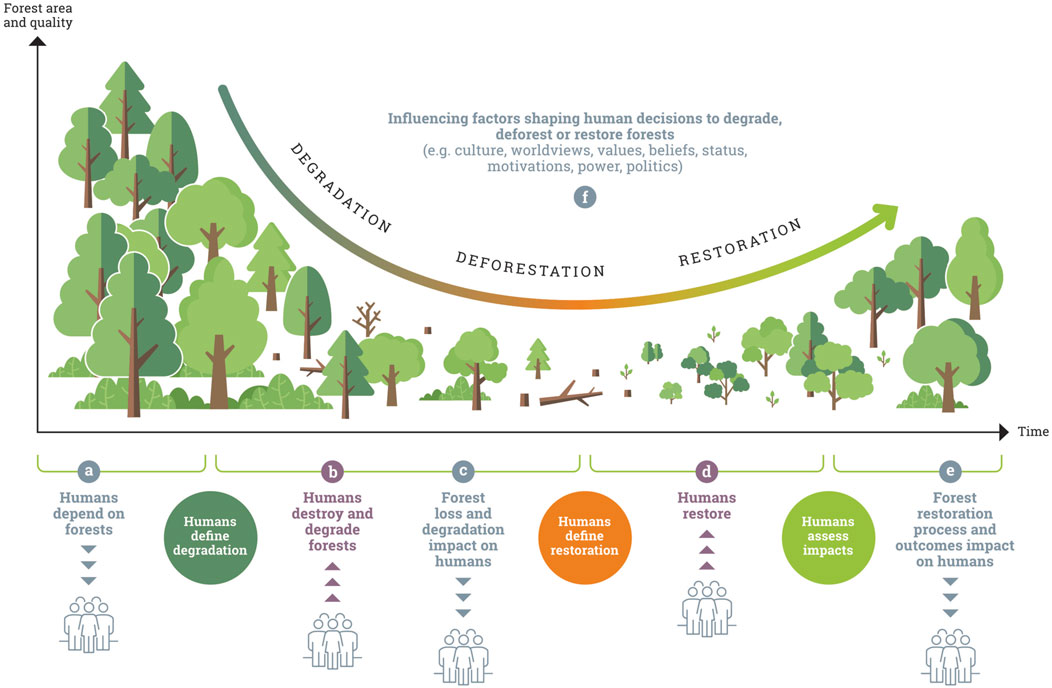 Frontiers | Situating the “human” in forest landscape restoration
