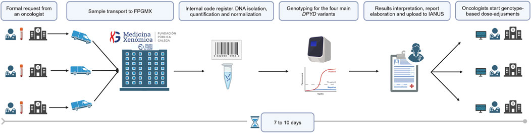 Frontiers | Balance of care activity after EMA recommendation for DPYD ...