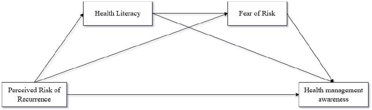 Frontiers | How perceived risk of recurrence strengthens health ...