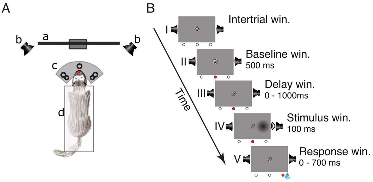 Frontiers | Dynamic changes in large-scale functional connectivity prior to stimulation ...
