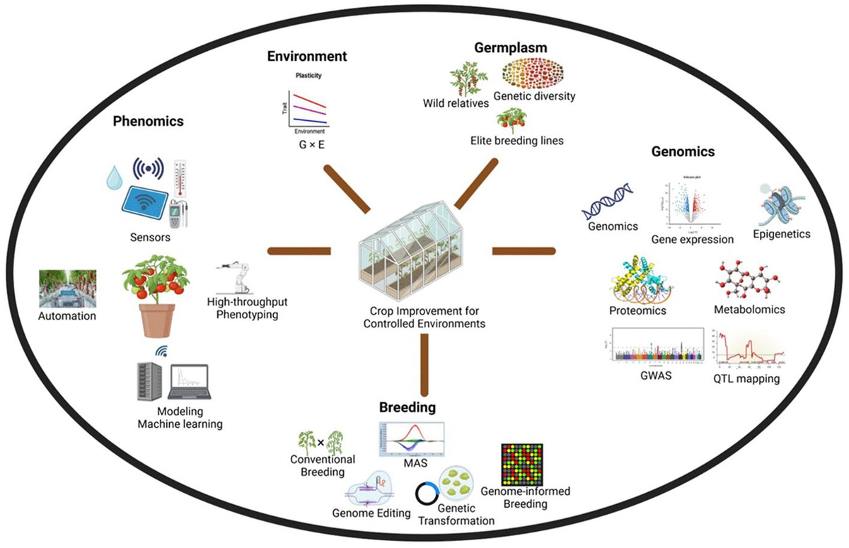 Frontiers | Improvement of crop production in controlled environment ...