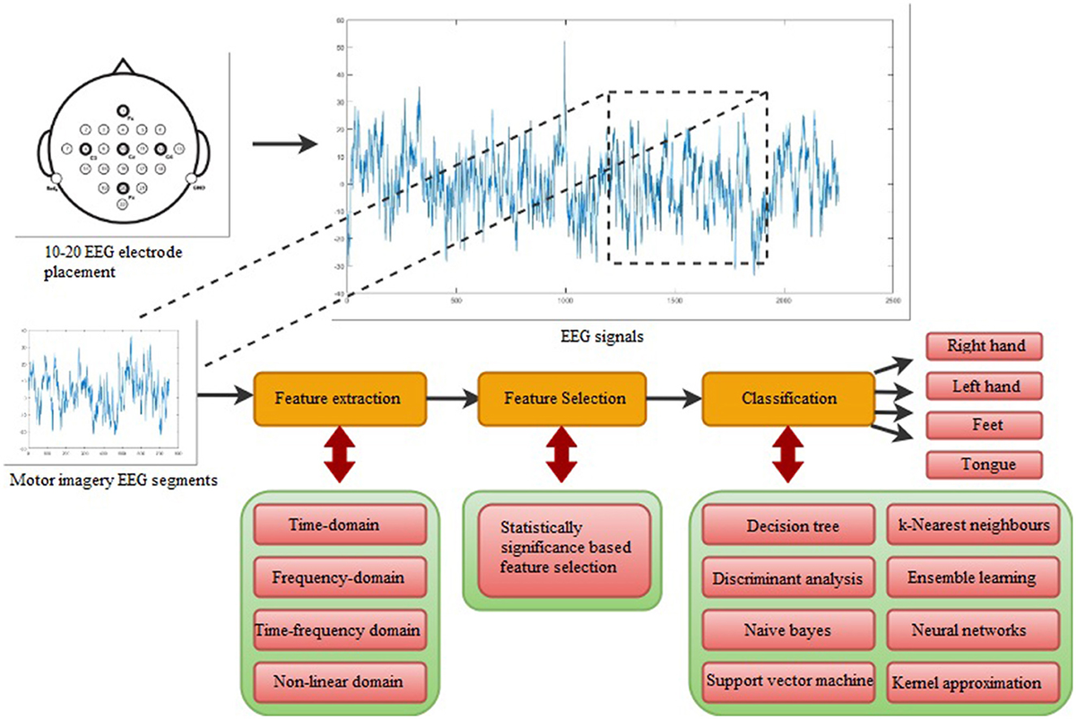 Frontiers | EEG channel and feature investigation in binary and multiple motor imagery task ...
